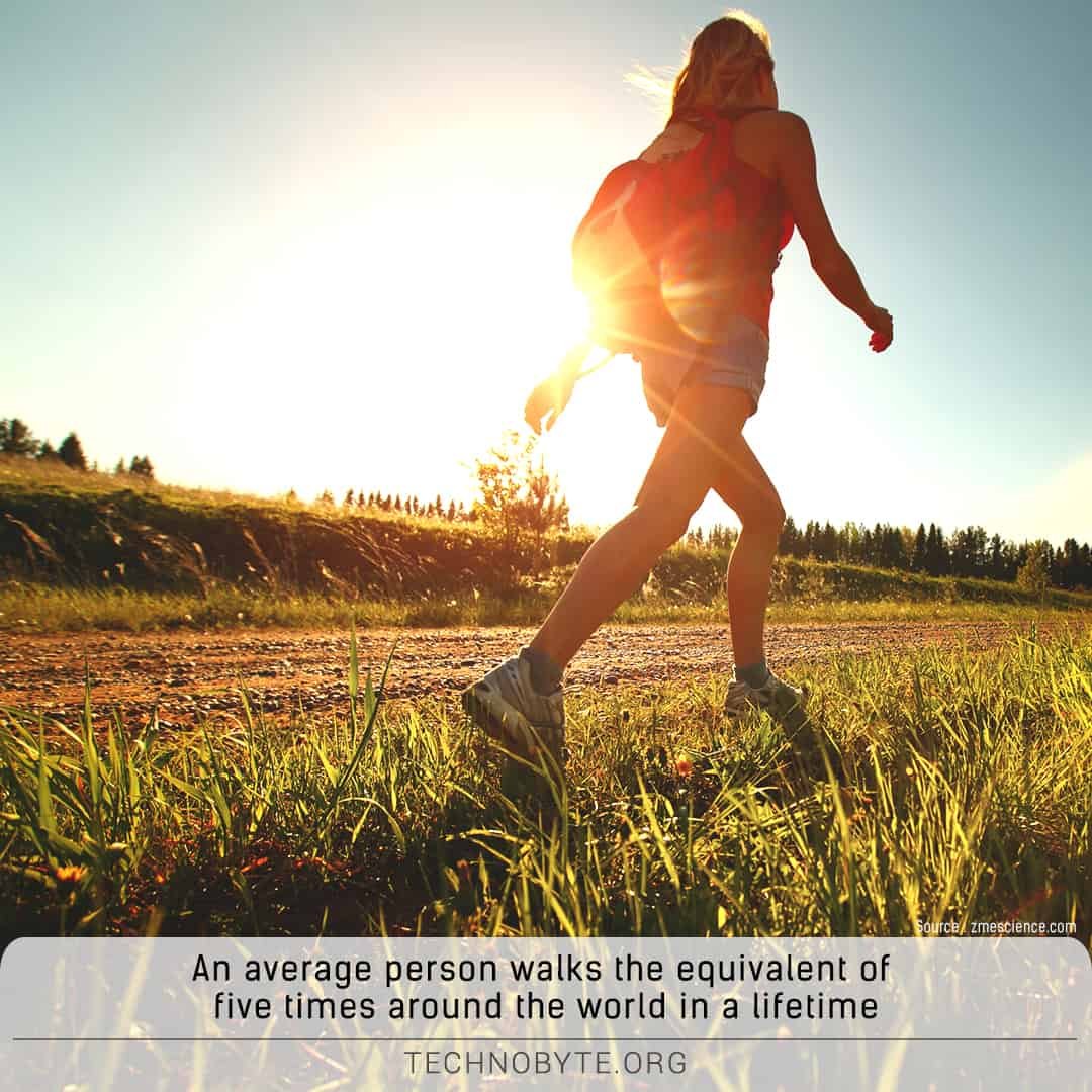 Walking around the earth is possible in a lifetime